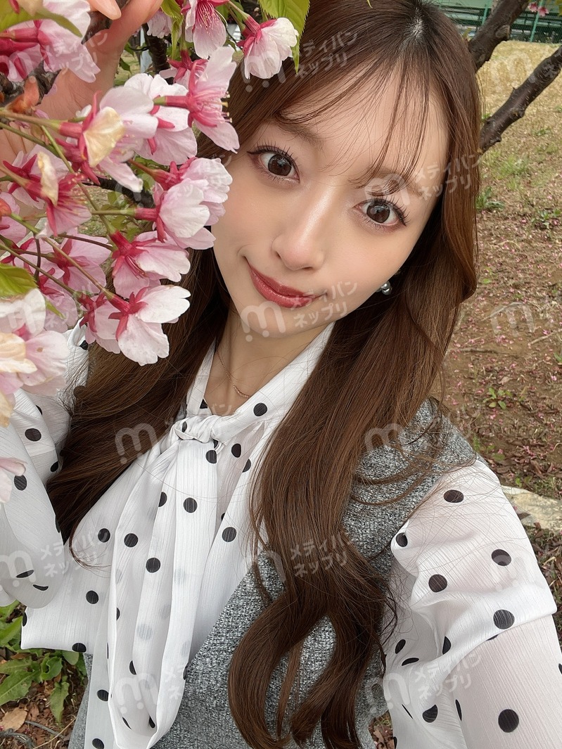 🌸🥓 | ayumin_hr