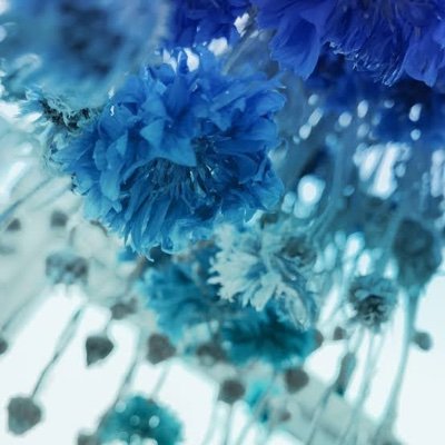 koppe_Hama's works | MediBang neppuri